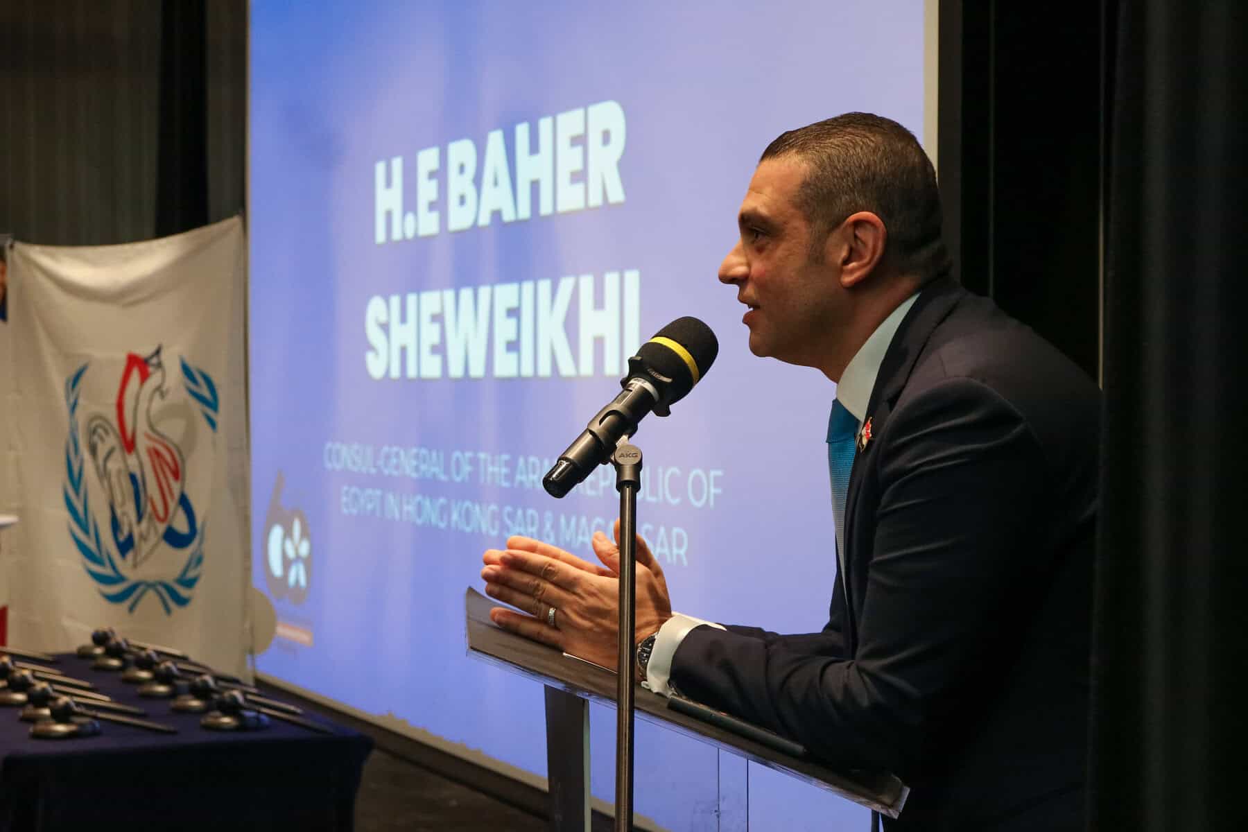 FIS Model UN II Conference