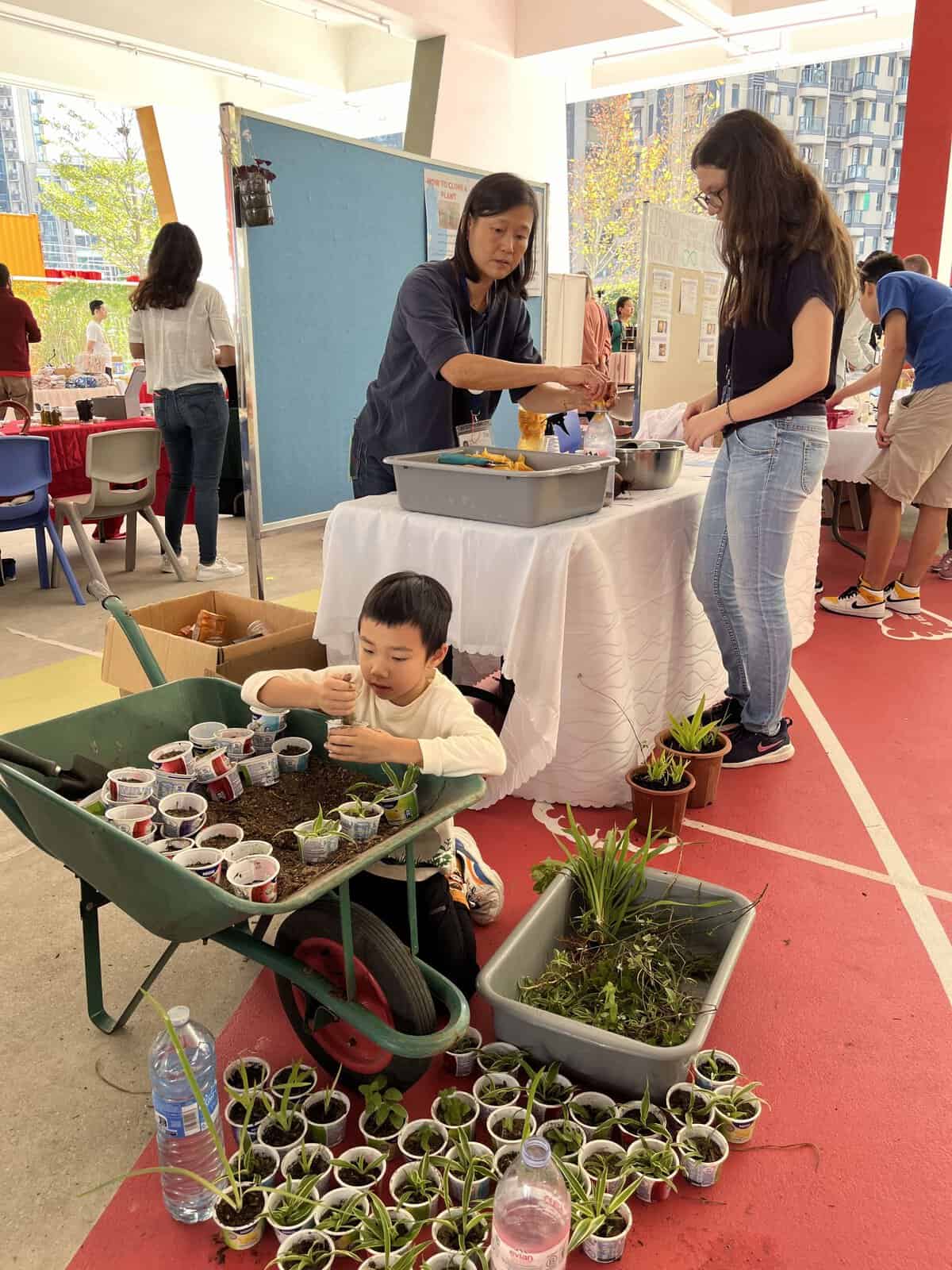 Family Fun Fair Strikes Again: Celebrating Sustainability!