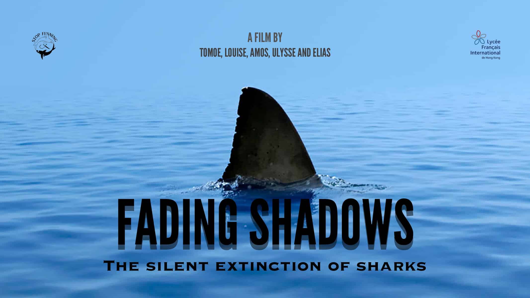 Fading Shadows: The Silent Extinction of Sharks - French International ...