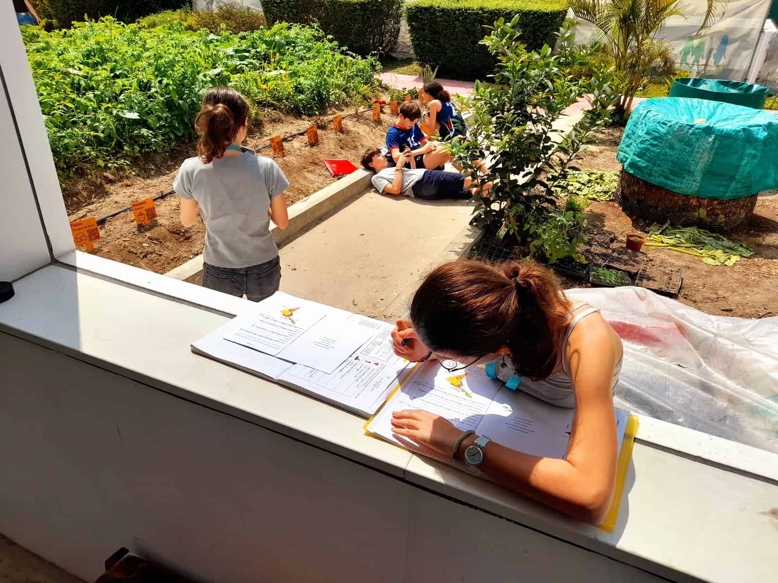 Interpretation panels in the Latin American garden